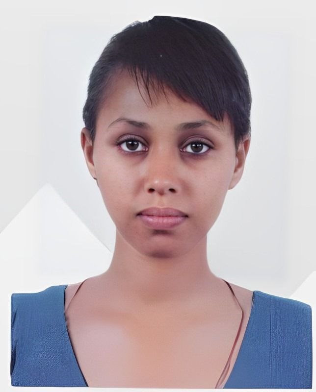 Sematha Technologies || Infinite Solutions, One Source Code